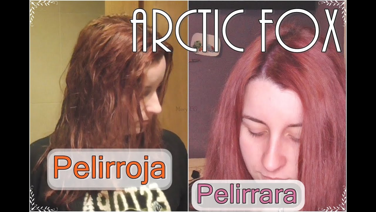 Arctic Fox: Aplicación y review | Mery EG - YouTube