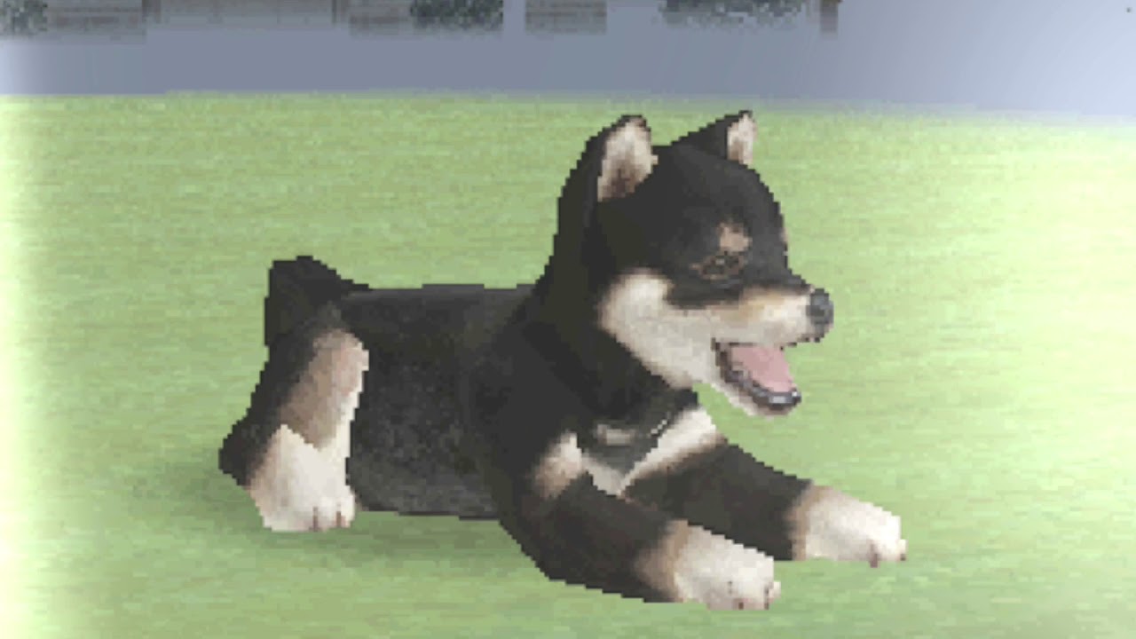 【OST】 shopping theme - nintendogs U ´ᴥ` U - YouTube