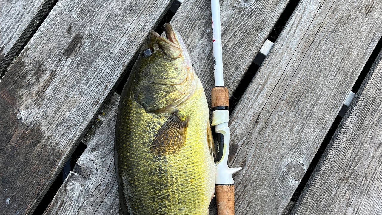 Bass fishing at gull lake Nisswa - YouTube