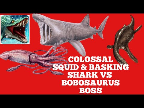 Dino Water World Colossal Squid & Basking Shark vs Bobosaurus Boss ...
