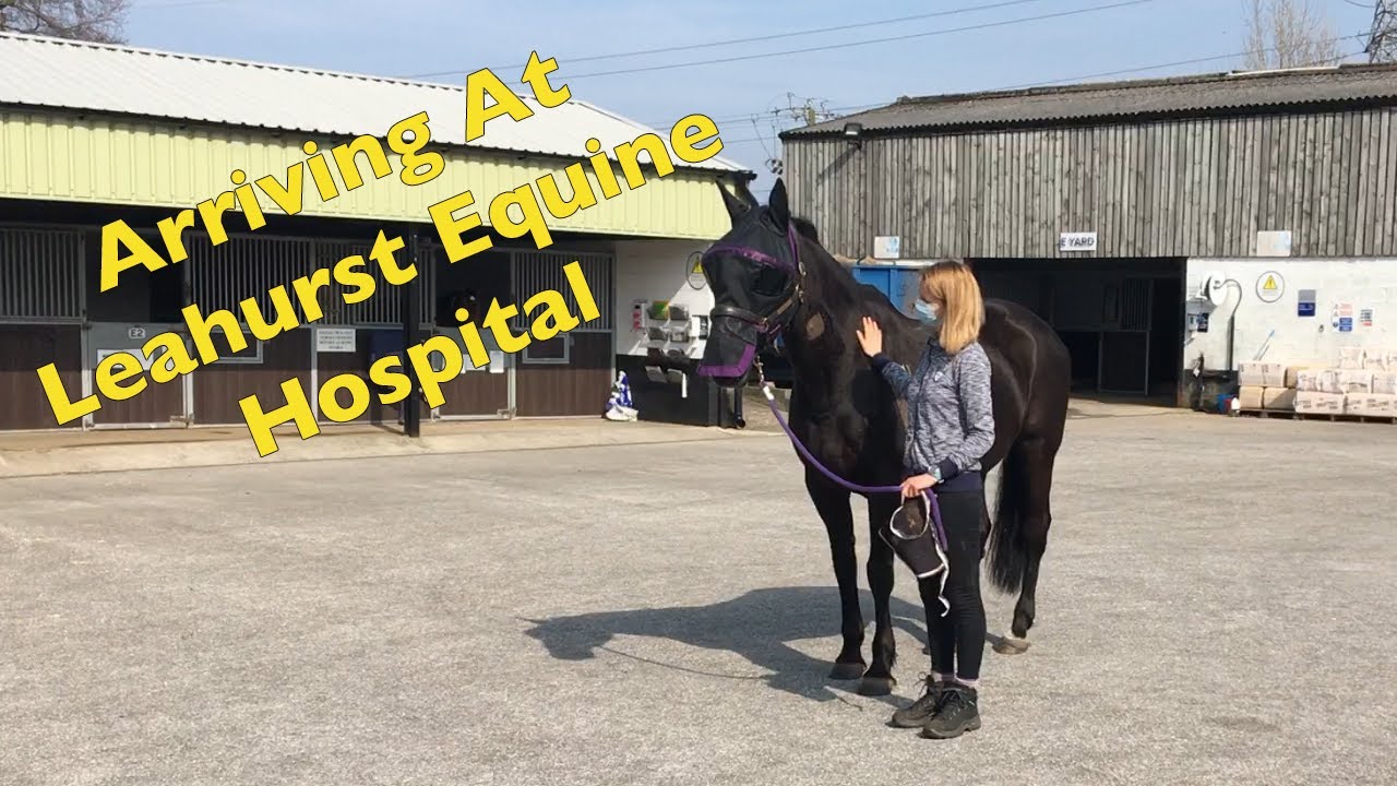 Leahurst Equine Hospital Arriving at the University of Liverpool ...