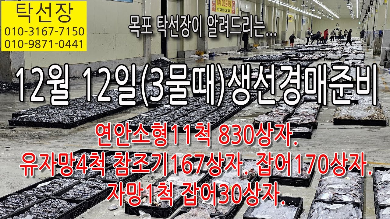 12월 12일(3물때), 갑오징어, 참조기, 중하새우, 병어, 갈치, 참돔, 아귀, 간재미, 잡어, 생(탁선장 목포 남도농수산 ...