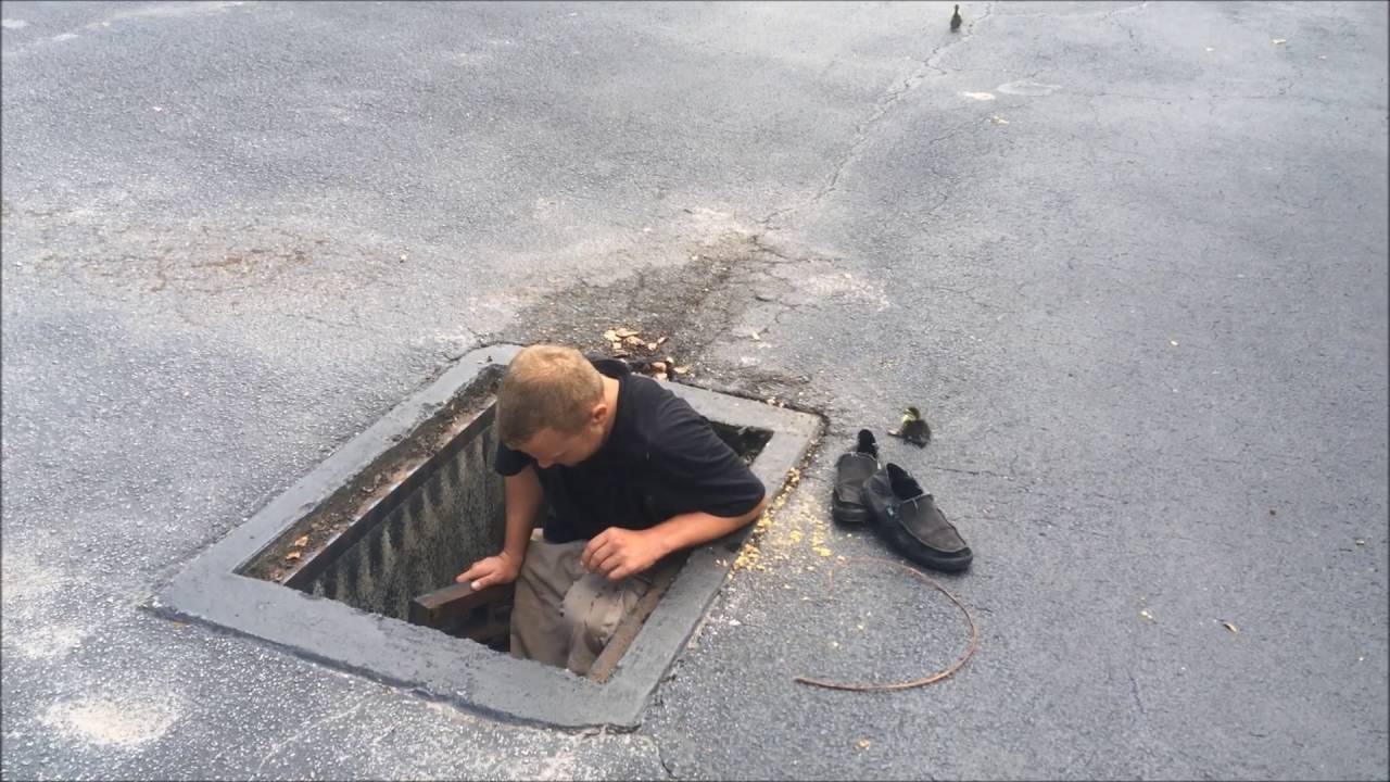 Homeless man rescues baby ducklings!! - YouTube