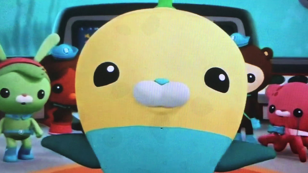 Creature report emperor penguins - YouTube