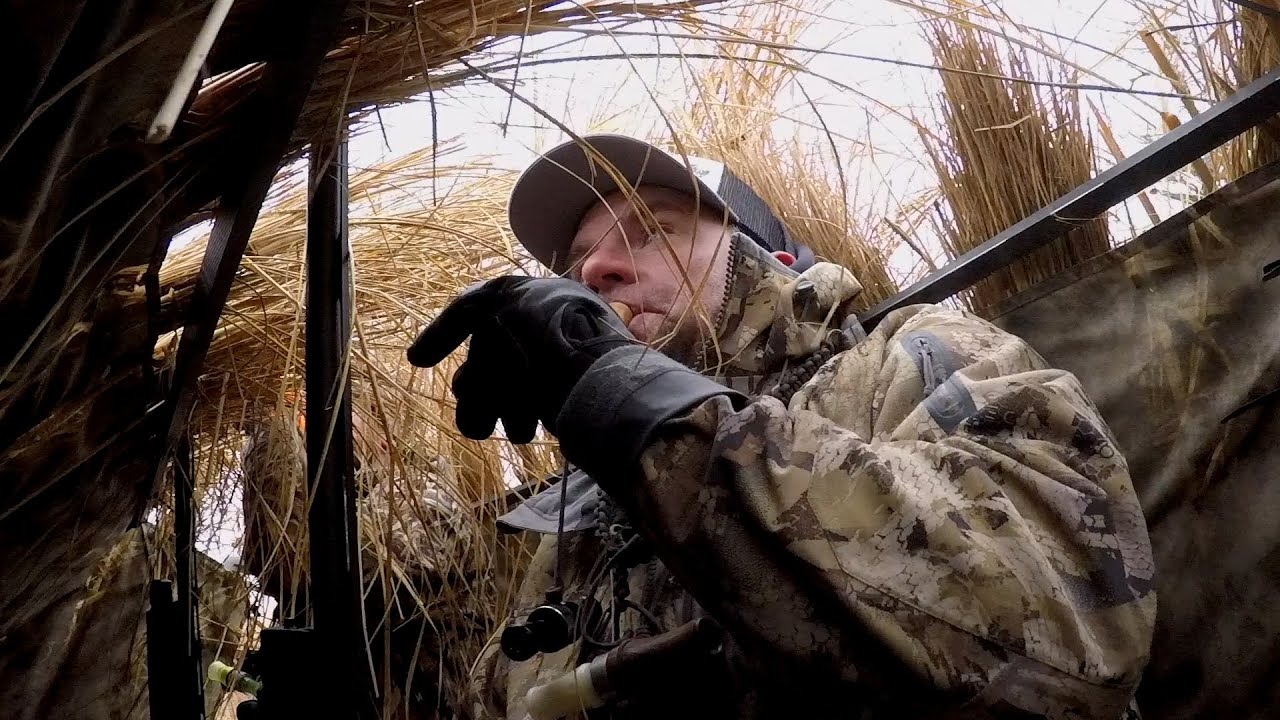 Waterfowl Hunting with A Frame Blinds - YouTube