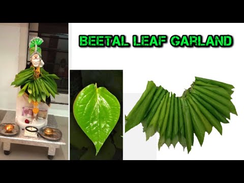 Beetal leaf garland ||Vethala malai DIY - YouTube