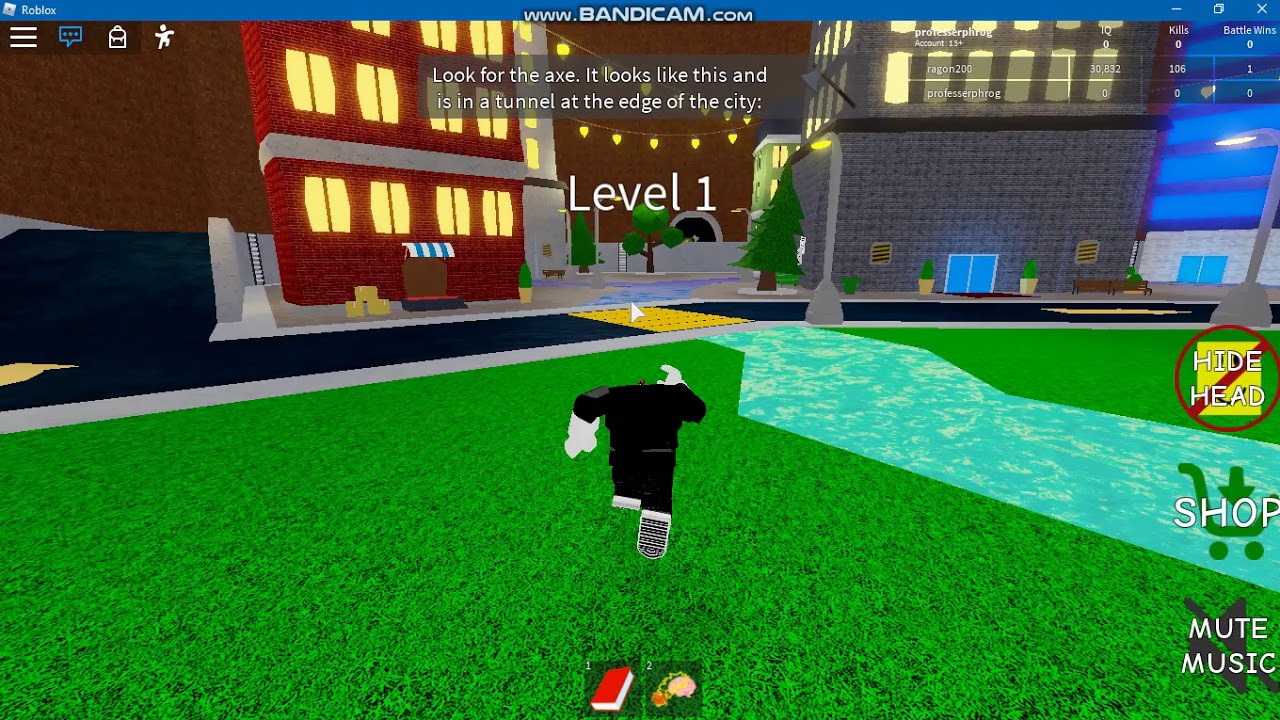 All Professer Phrog item locations and how to get the wizard staff in ...