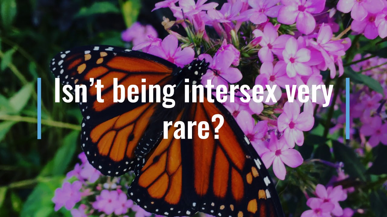 Intersex Youtube