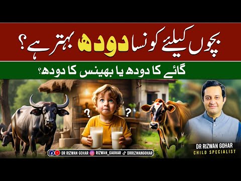 Cow’s Milk🐄 vs Buffalo’s Milk🐃: Which is Better for Your Child? 🥛#cowmilk #buffalomilk