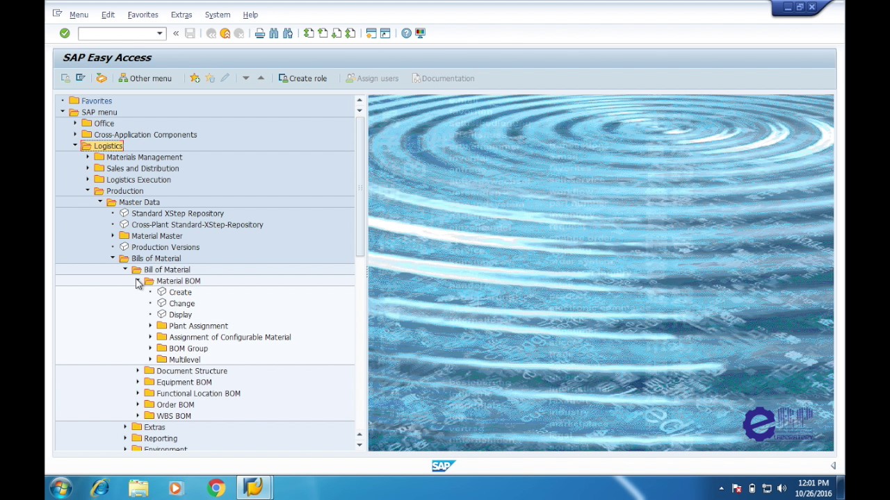 Exercise Unit 2 SAP SCM100 - YouTube