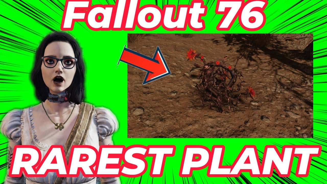 Fallout 76’s Rarest Plant Found in Skyline Valley - YouTube
