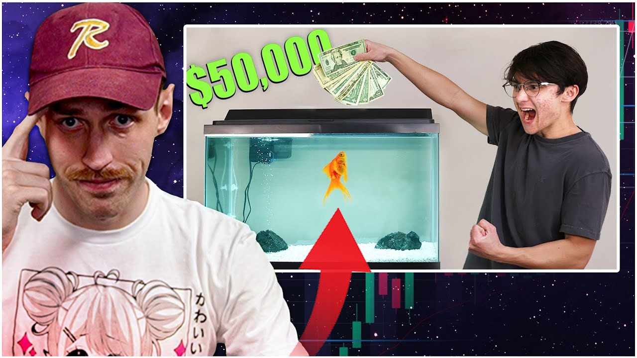 Stock Trader Reacts to New Michael Reeves Video - I Gave My Goldfish ...