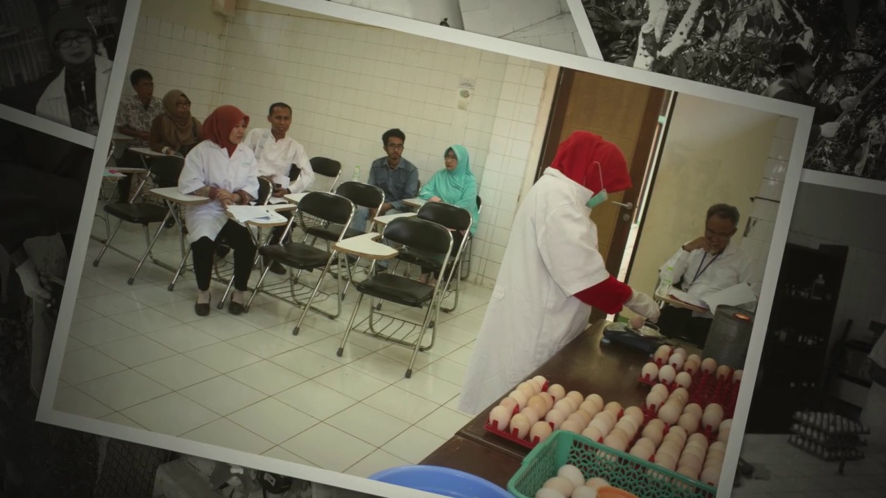 LSP PPPPTK PERTANIAN VEDCA - YouTube