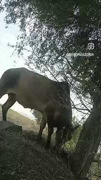 May 8, 2024 - YouTube