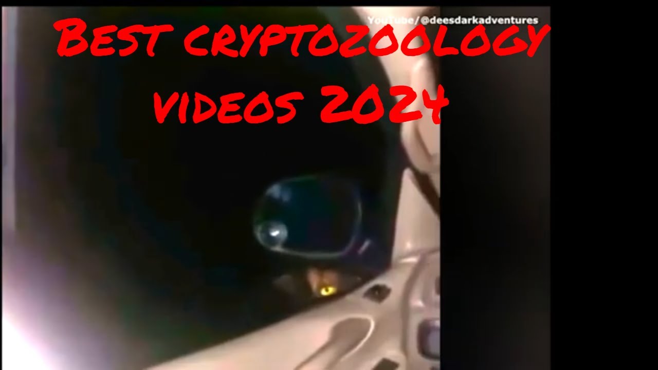 Best Cryptozoology Videos 2024 - YouTube