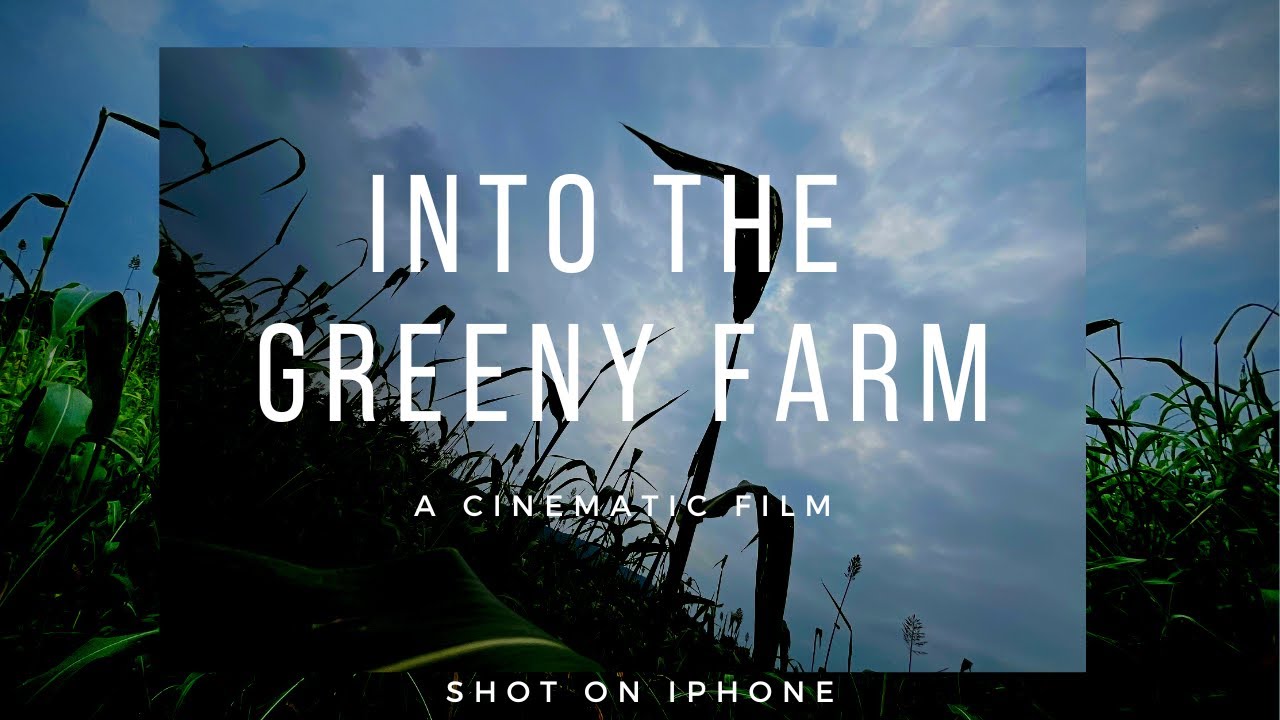 Cinematic Farm Video | 4k shot on iPhone 💚 - YouTube