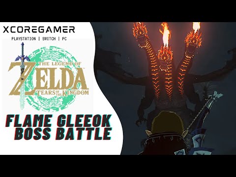 Flame Gleeok Boss Playthrough - Legend of Zelda: Tears of the Kingdom ...