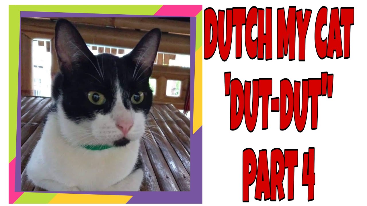 DUTCH MY CAT/ DUT DUT PART 4/ REGSKIE GANDA - YouTube