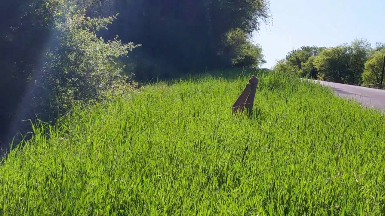 Magic Grass Makes You Disappear! - YouTube