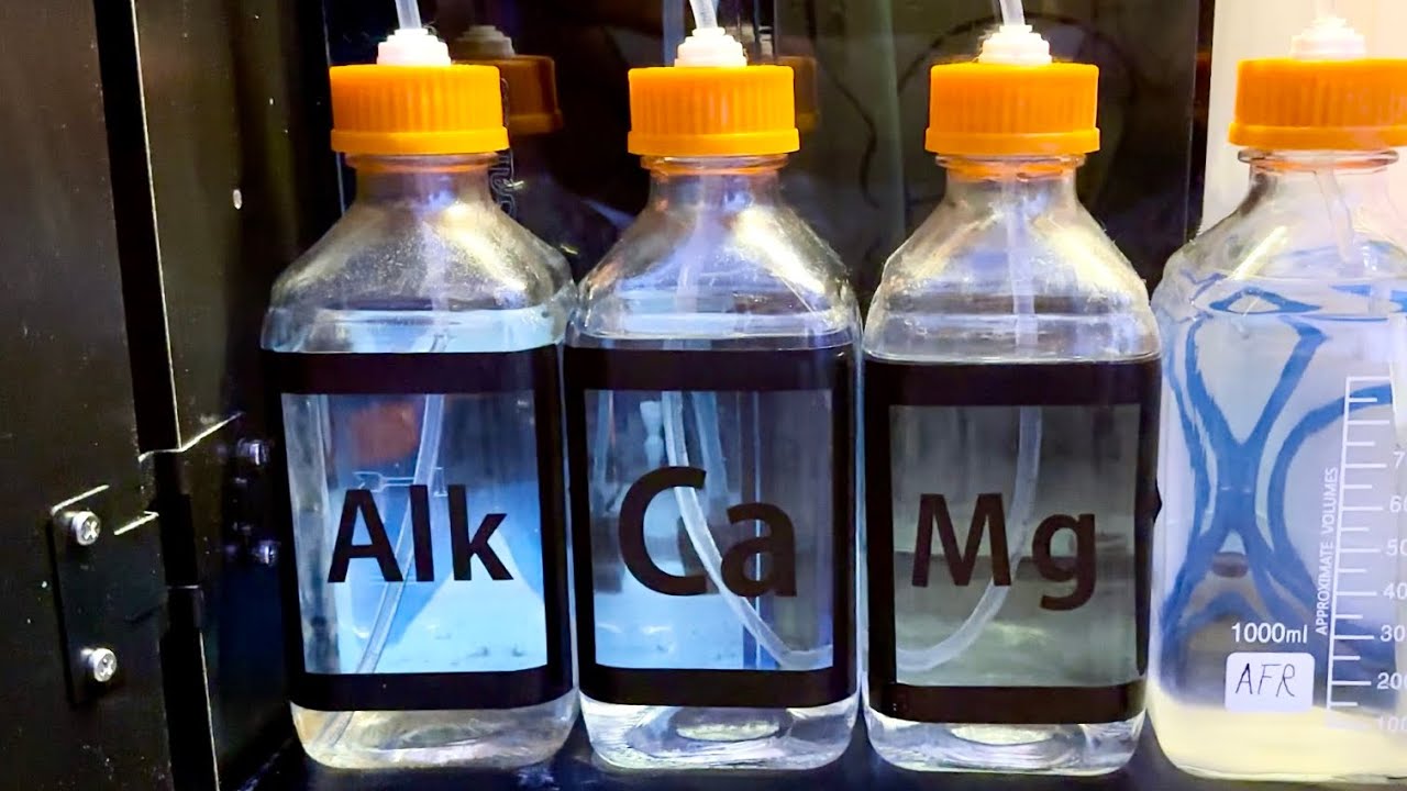 Explained: Testing & Dosing - Alkalinity Calcium Magnesium - YouTube