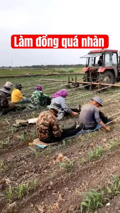 cách nhổ cỏ sáng tạo #shortsfeed #shots - YouTube