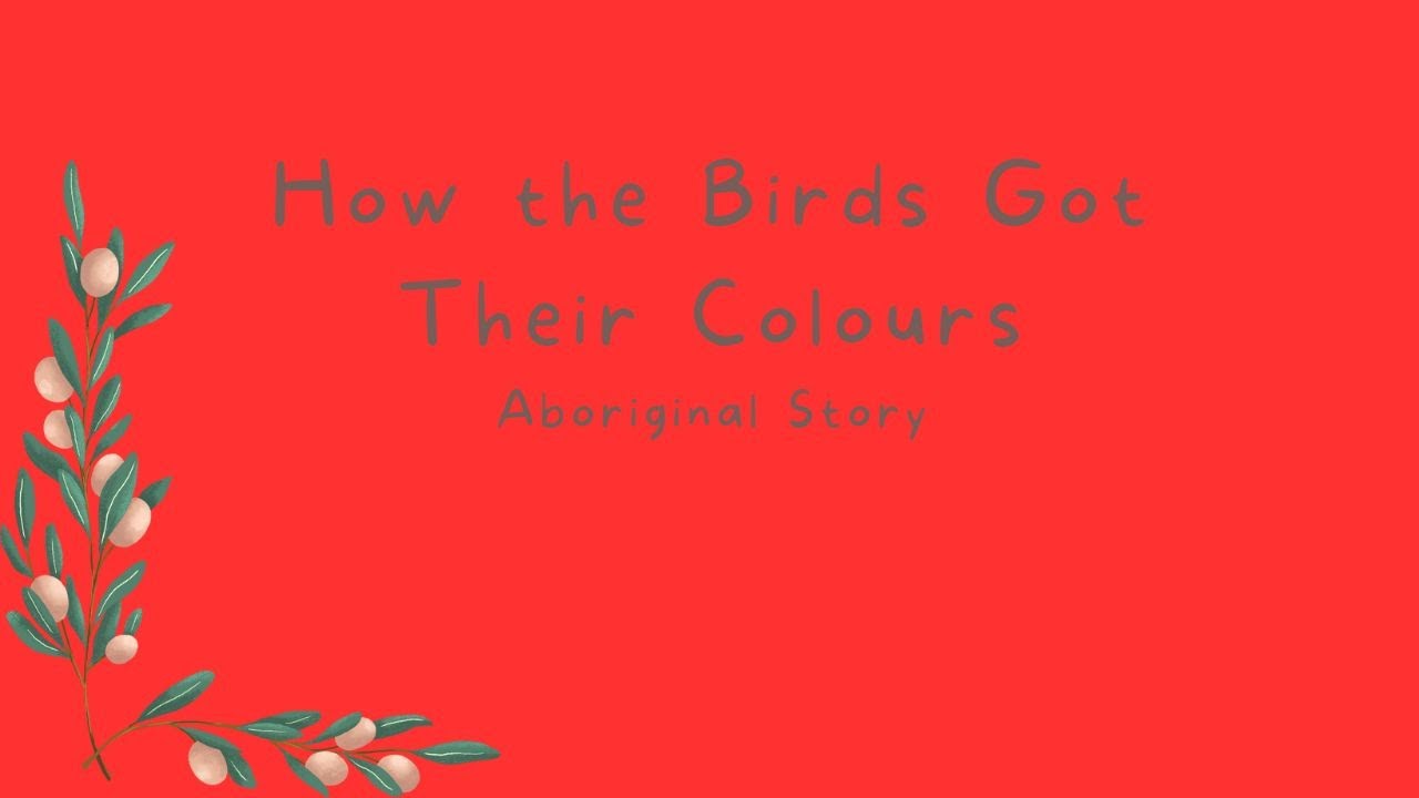 How the Birds got their Colours | Mary Albert Pamela Lofts #readaloud ...