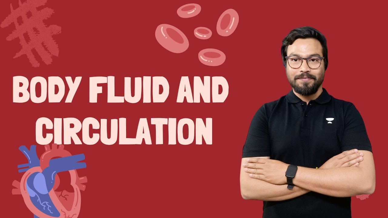 Body Fluid and circulation ( Blood, formed element and types) - YouTube