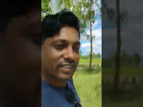 Gramer prakritik drissho - YouTube