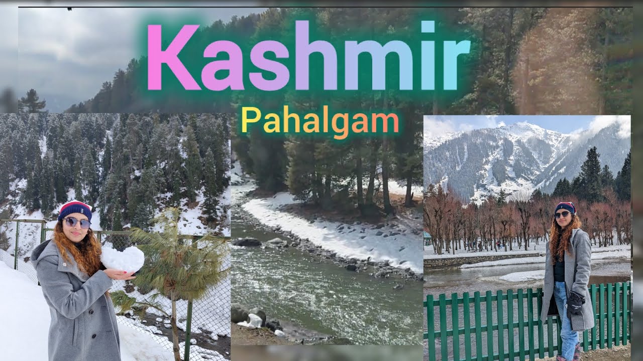 Day:-3 Exploring the Serene Beauty of Aru and Betaab Valley pahalgam ...