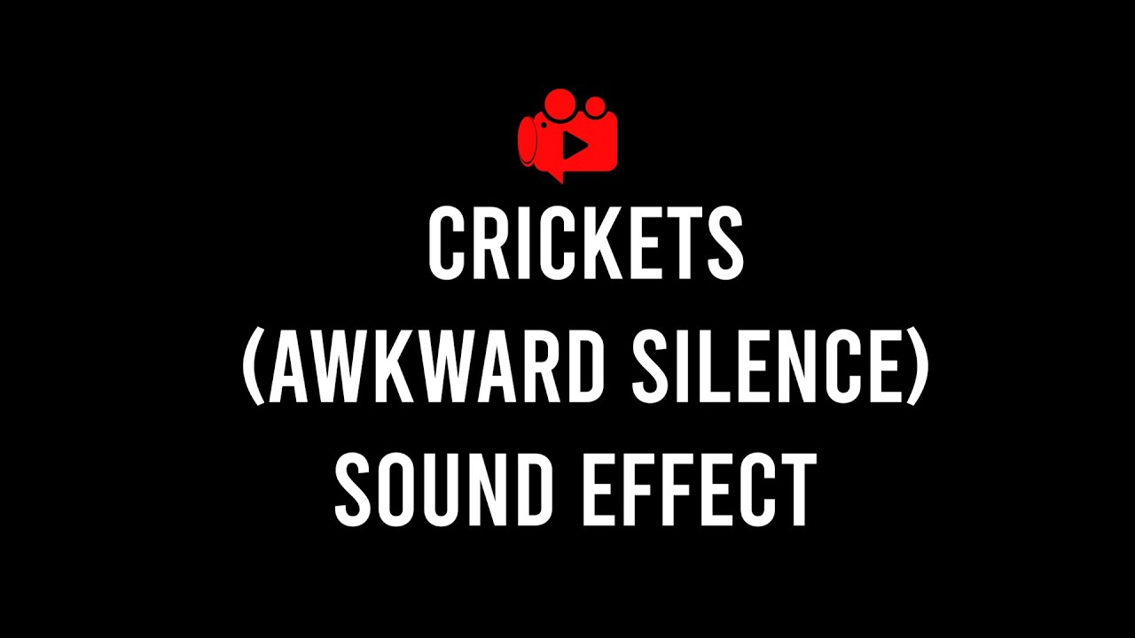 Crickets Awkward Silence Sound Effect (High Quality) - YouTube