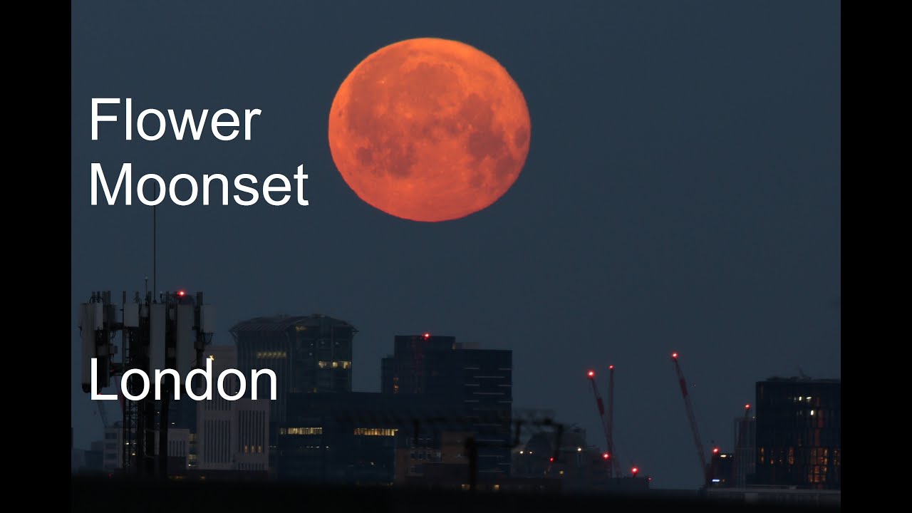 Flower Moonset - YouTube