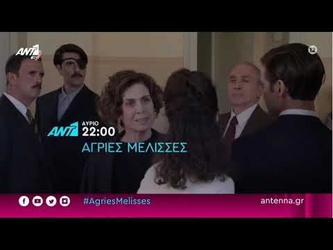 ΑΓΡΙΕΣ ΜΕΛΙΣΣΕΣ ΚΥΚΛΟΣ 3ος - ΕΠΕΙΣΟΔΙΟ 16 [21/10/21] - YouTube