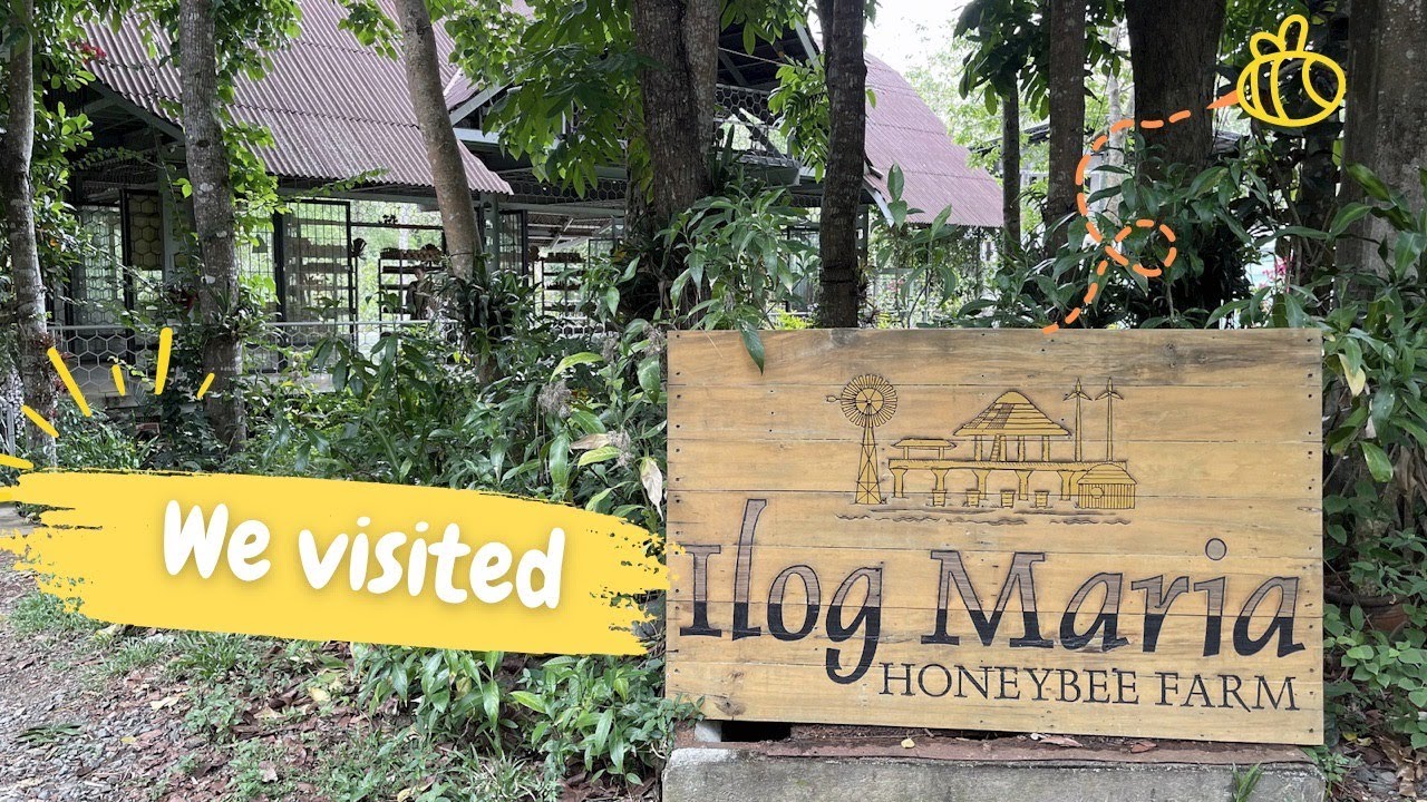 Ilog Maria Honeybee Farm - YouTube