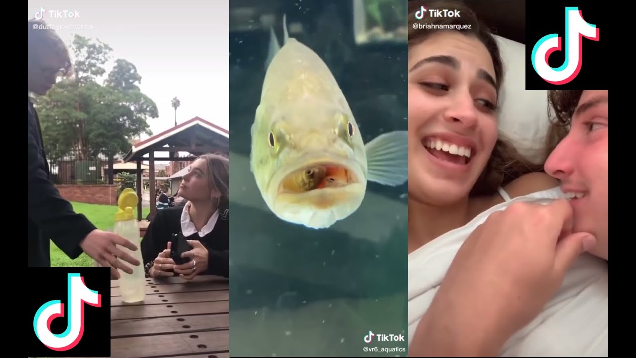 Tik tok memes that feel just like longer vines! - YouTube