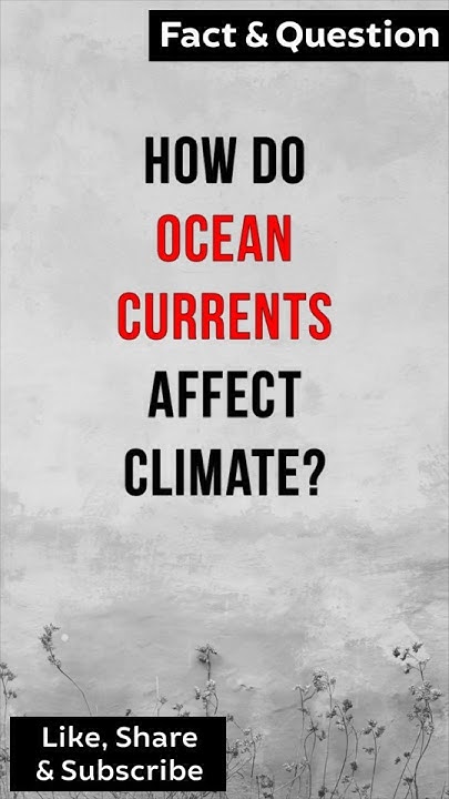 How Do Ocean Currents Affect Climate? #factshorts - YouTube
