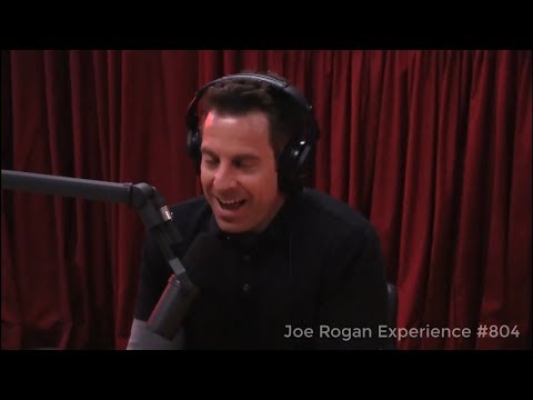 Sam Harris on Donald Trump - YouTube