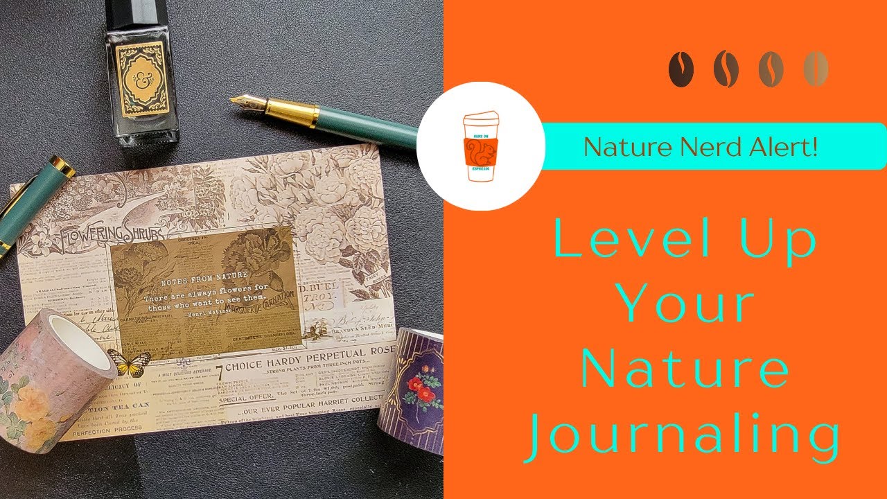 Archer and Olive Notes From Nature Unboxing: A Nature Lover's Delight ...