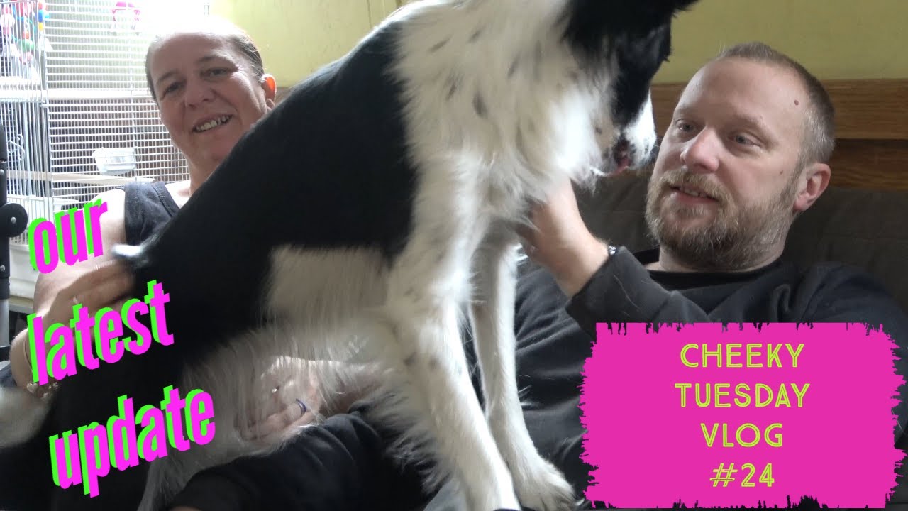 Cheeky Tues #24 : Join us for another cheeky Tuesday chat onboard ...
