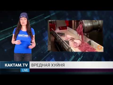 КАКТАМ? Коричневая радуга #29