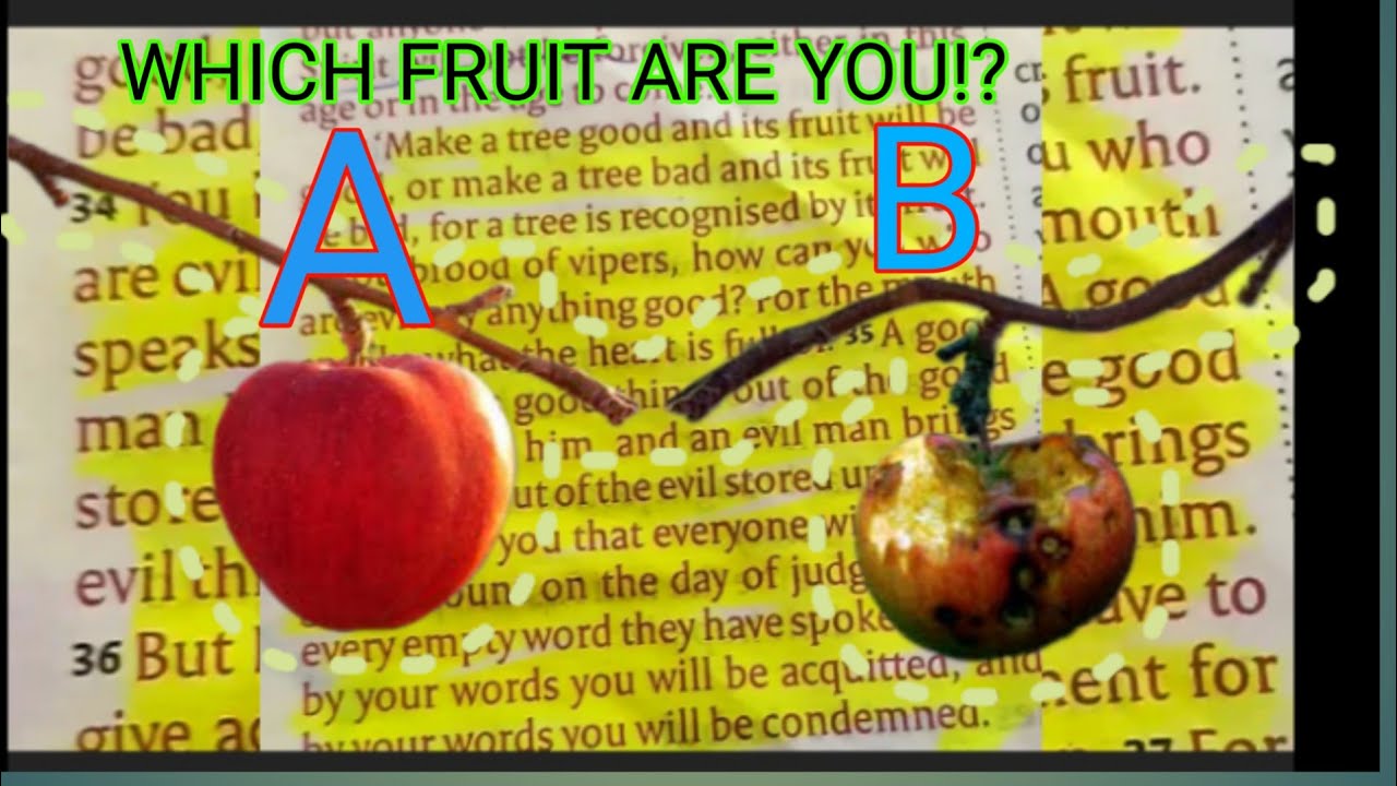 WHICH FRUIT ARE YOU? BAD OR GOOD? - YouTube