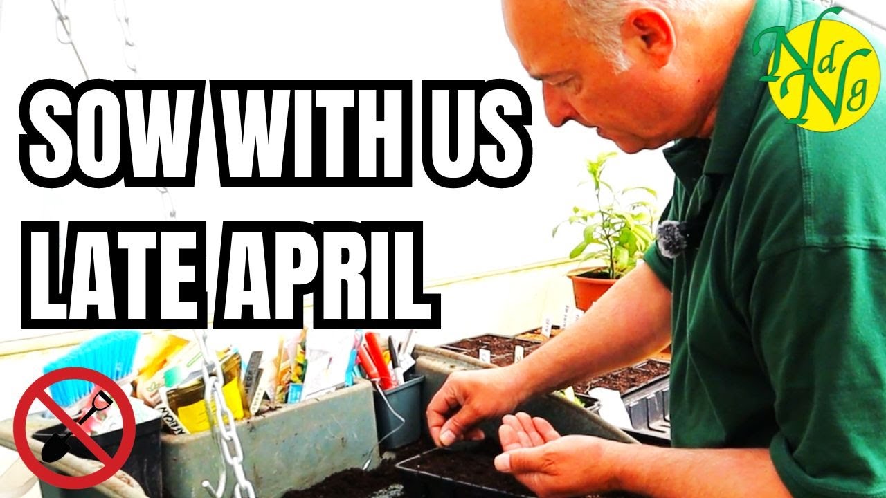 Essential Late April Sowing Advice || What to plant in late April ...