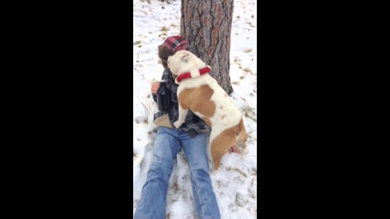 Redneck Squirrel Trap - YouTube