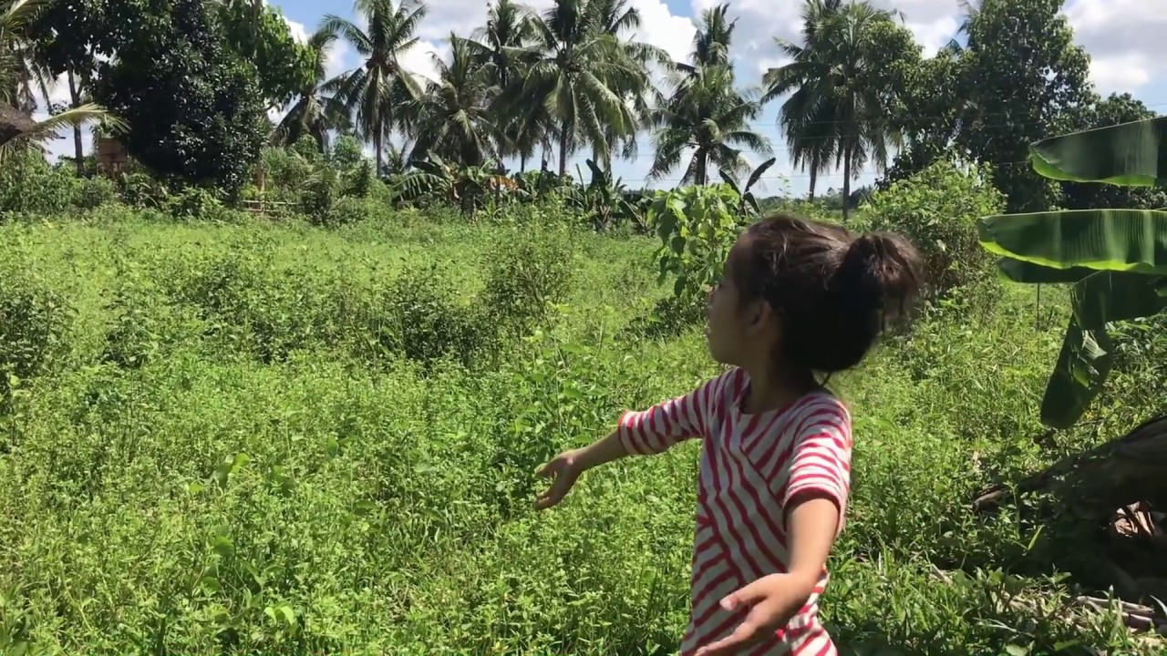 🌾Goin With Tatay in the Philippines Province🦋 [PART 1] - YouTube