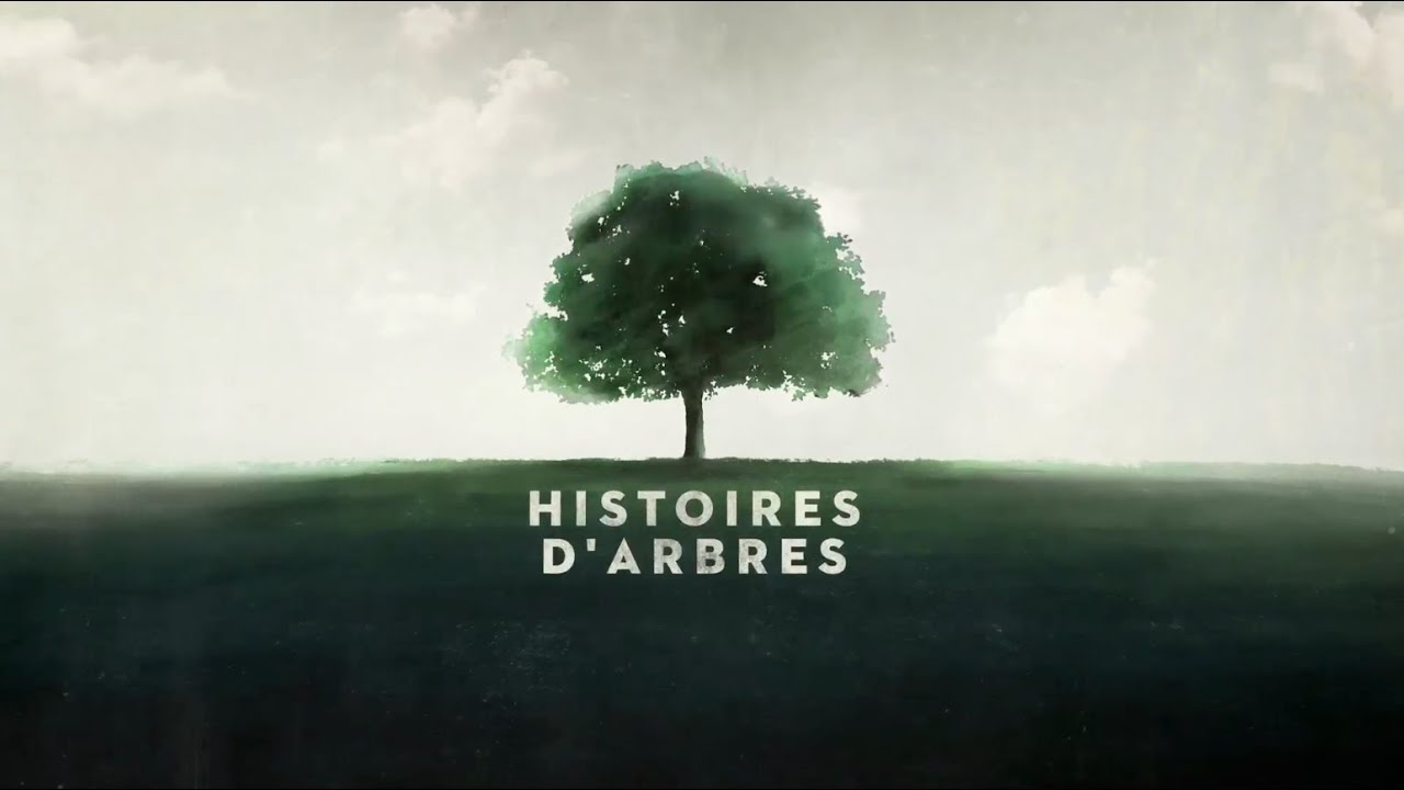 HISTOIRES D’ARBRES - ARTE GEIE - Introduction de la série - YouTube