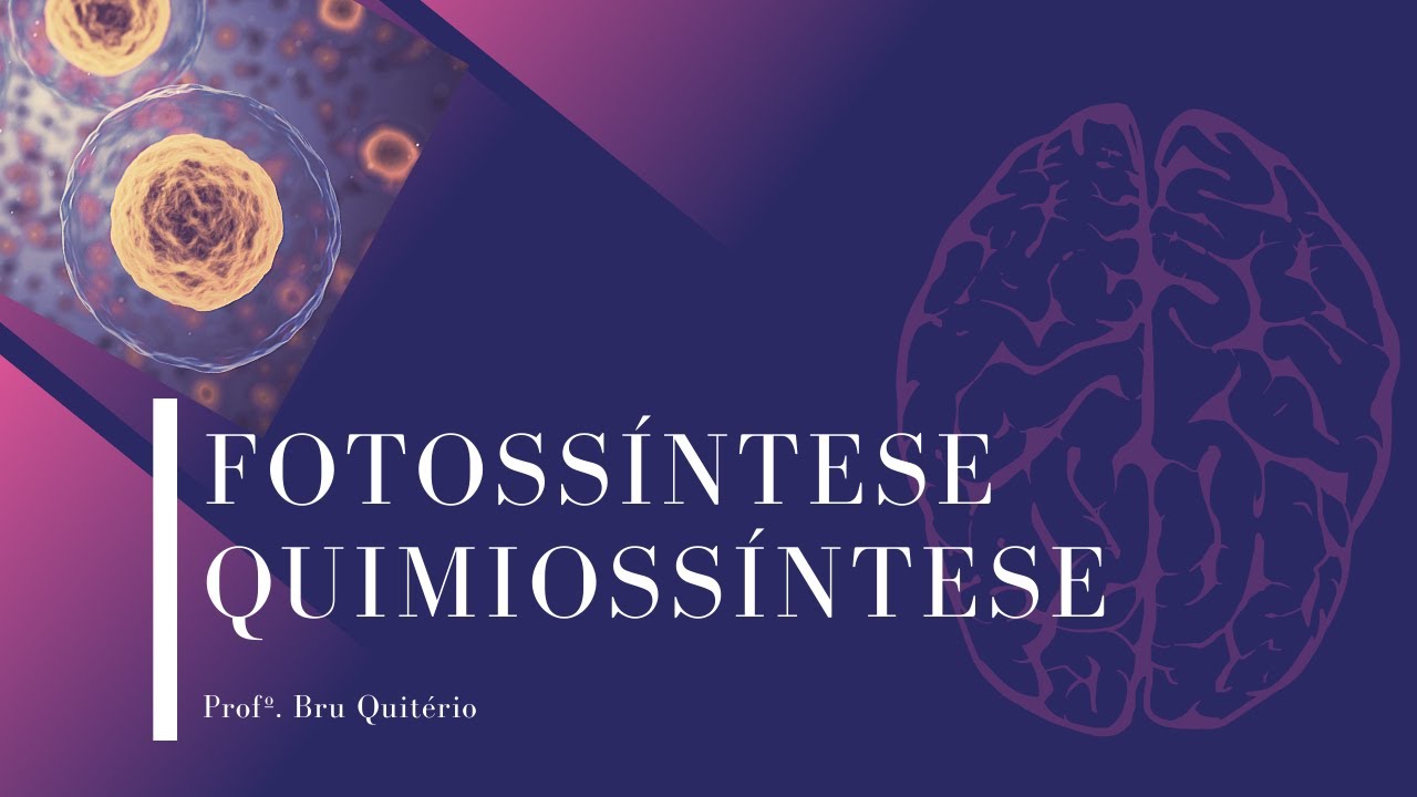 Fotossíntese e Quimiossíntese - YouTube