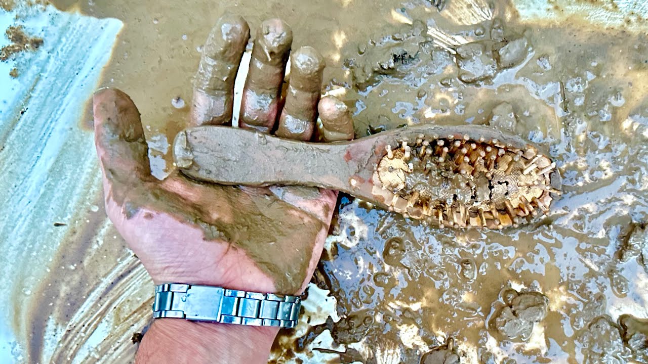 Dirt Begone:Cleaning🧼a Mud Infested Hairbrush🧑‍🎤 - YouTube