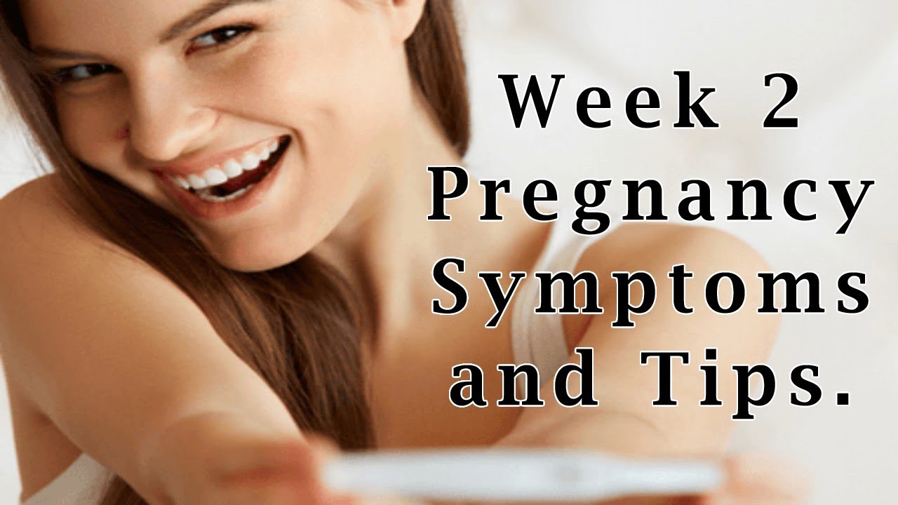 Week 2 Pregnancy | 2 Weeks Pregnant: Symptoms and Tips - YouTube