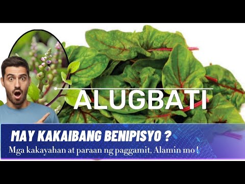 MGA KAGILA-GILALAS NA BENIPISYO NG ALUGBATI, PARAAN NG PAGGAMIT. ALAMIN ...