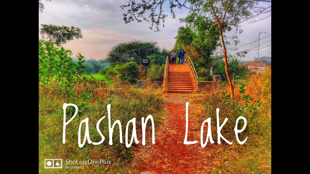 Pashan Lake | पुण्यातील पाषाण तलाव - YouTube