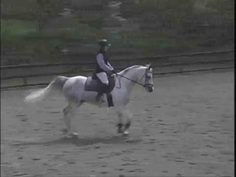 Art Gone Platinum aka "Barney Rebel" - YouTube